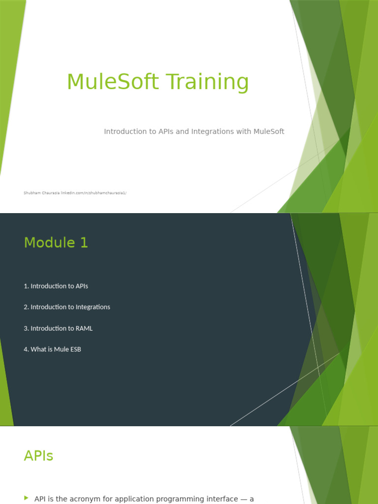 MuleSoft API Integration Training Guide | PDF | Computing | Information ...