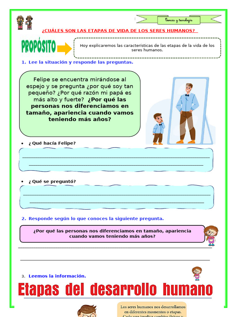 E11 S2 Ficha D3 CT Etapas de Vida Del Ser Humano | PDF