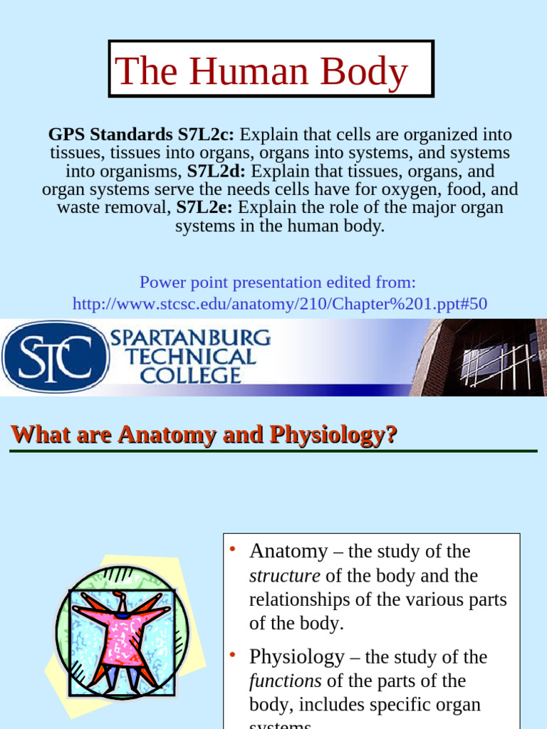 Human Body (1) | PDF | Human Body | Tissue (Biology)