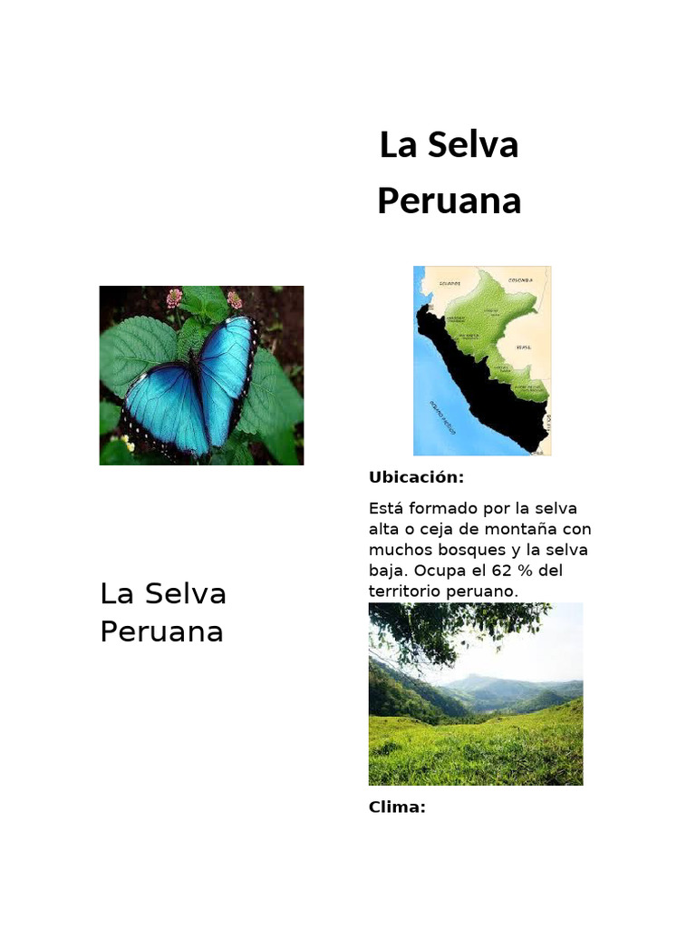 La Selva Peruana | PDF
