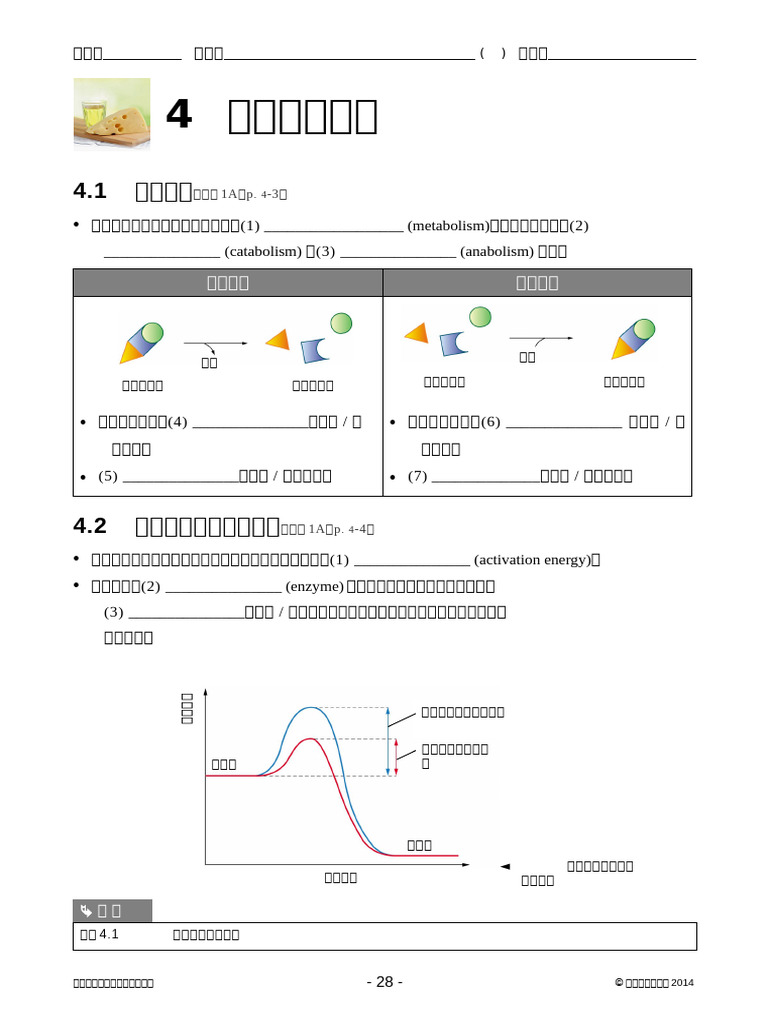 Ws ch04 C | PDF