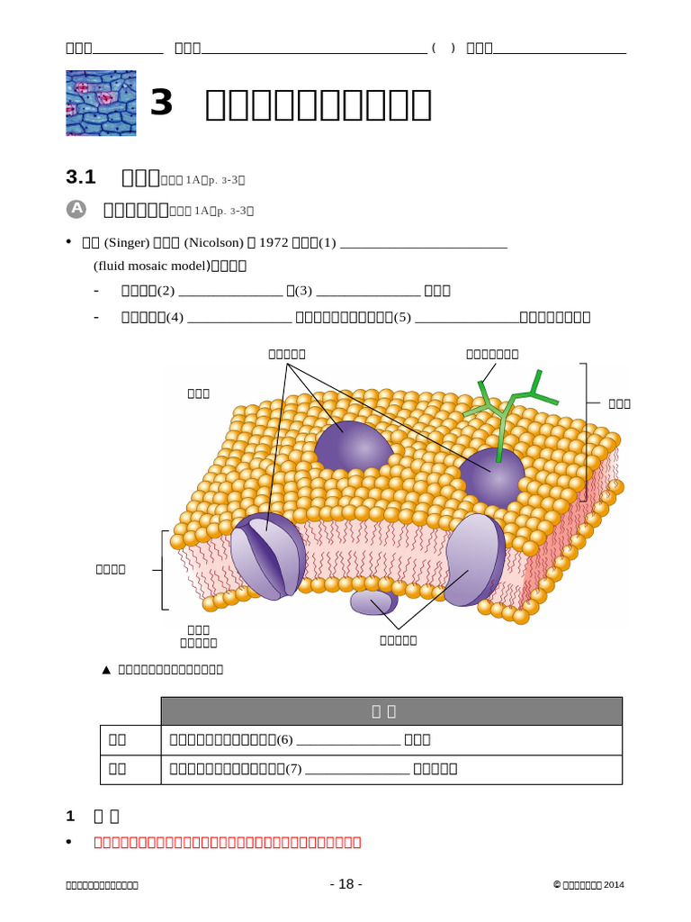 (Singer) (Nicolson) 1972 (1) - (Fluid Mosaic Model (2) - (3) - (4) - (5 ...
