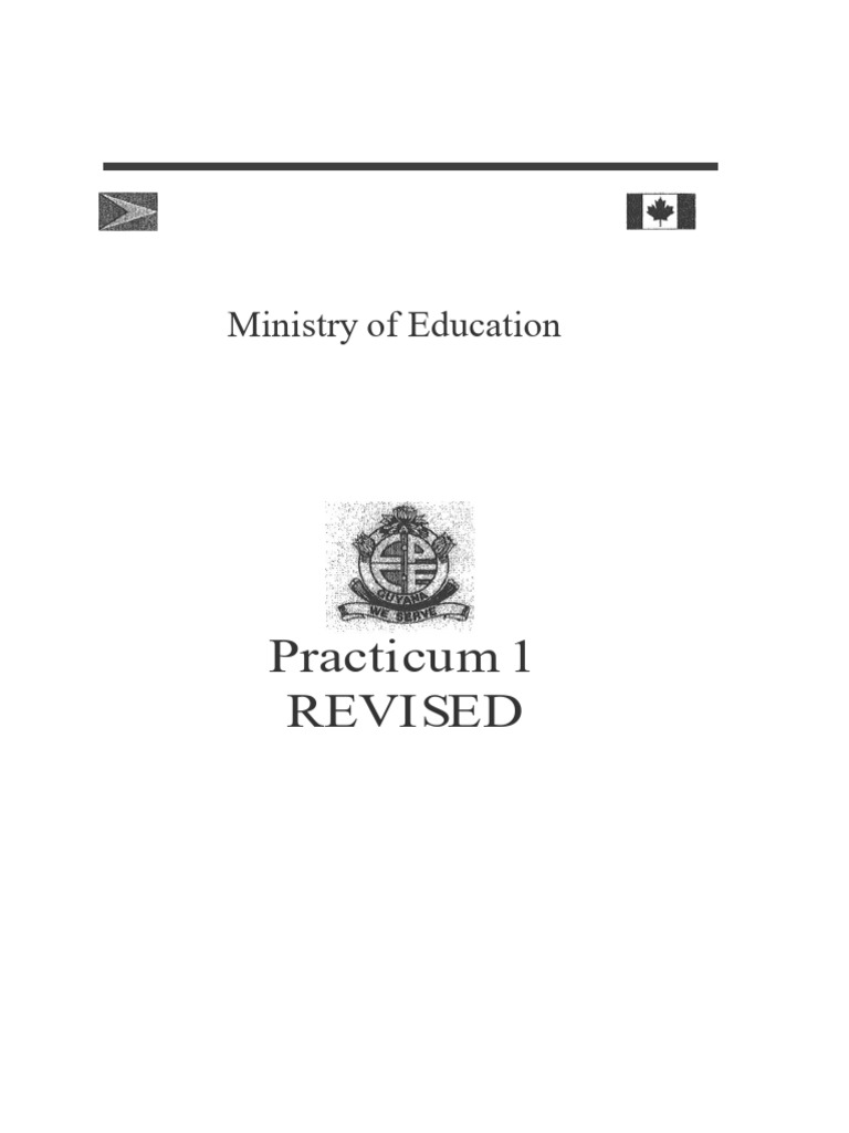 Practicum Module Revised | PDF | Lesson Plan | Teachers