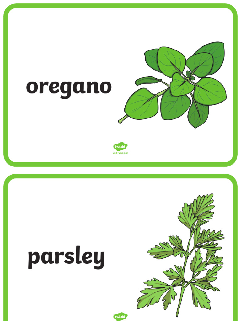 Medicinal Plants | PDF