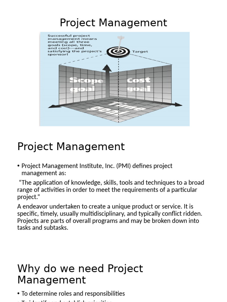 Essential Guide to Project Management | PDF | Project Management