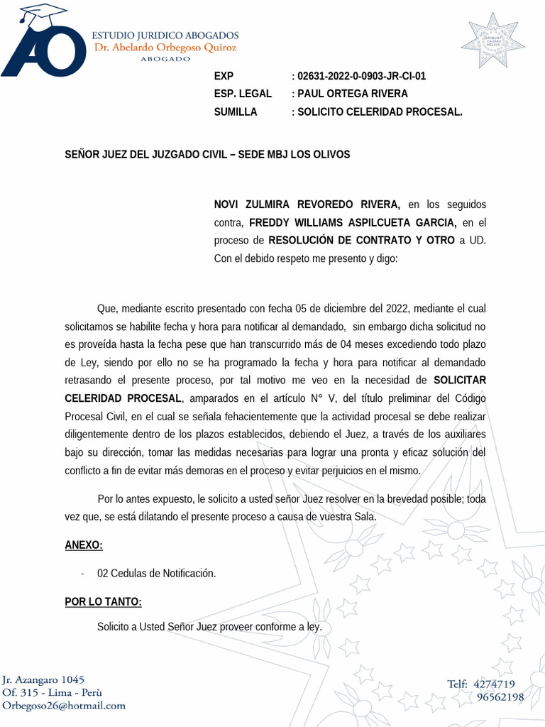 Celeridad Procesal - Presentar | PDF