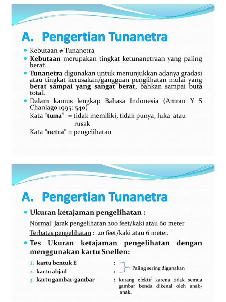 Karakteristik Dan Pendidikan Anak Tuna Netra 3 638 | PDF