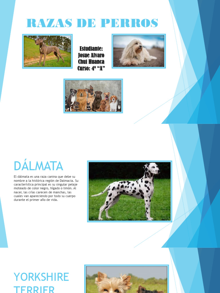 RAZAS DE PERROS | PDF