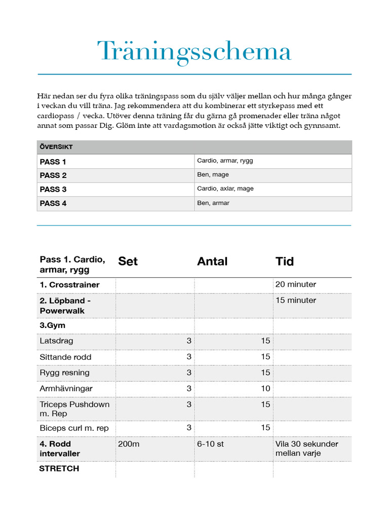 Workout Plan - Swedish | PDF