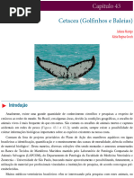 HEAT Bula Rev07 26-08-21 | PDF | Batata | Enzima