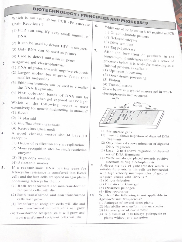 Exclusive Bt-1 | PDF