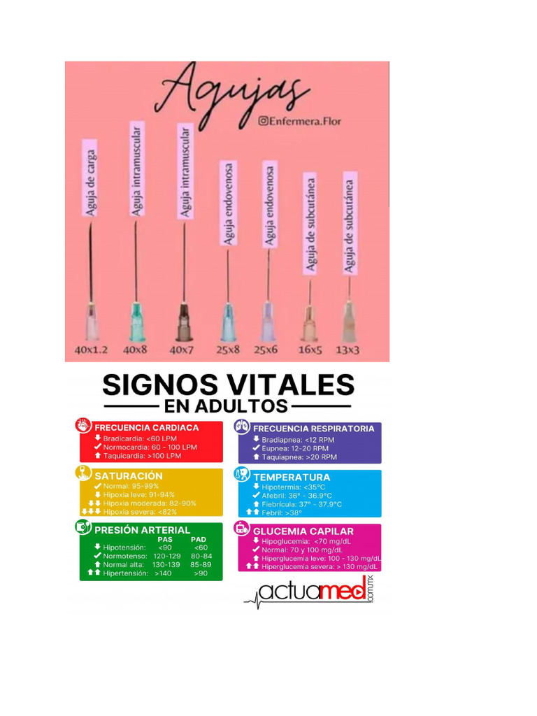 Agujas y Geringas | PDF