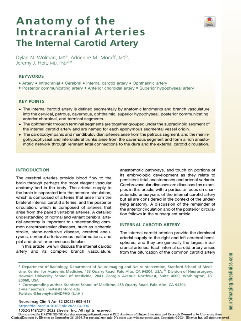 Anatomy of The Intracranial Arteries | PDF | Common Carotid Artery ...
