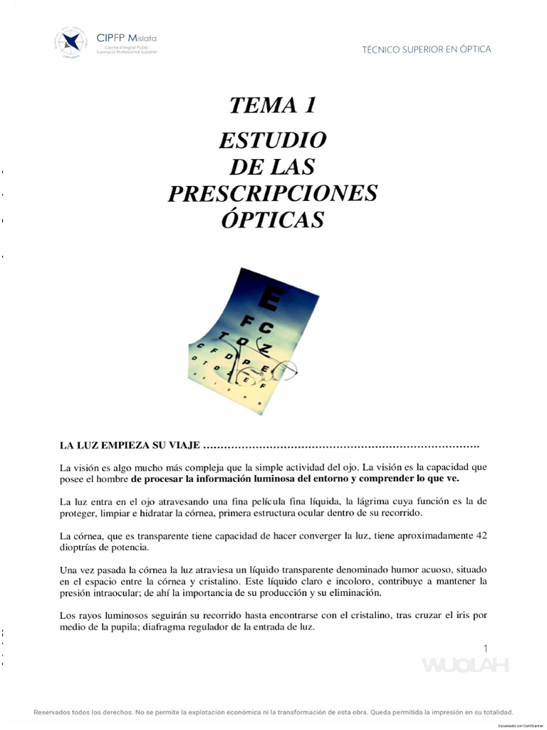 Estudio de Las Descripciones Opticas | PDF