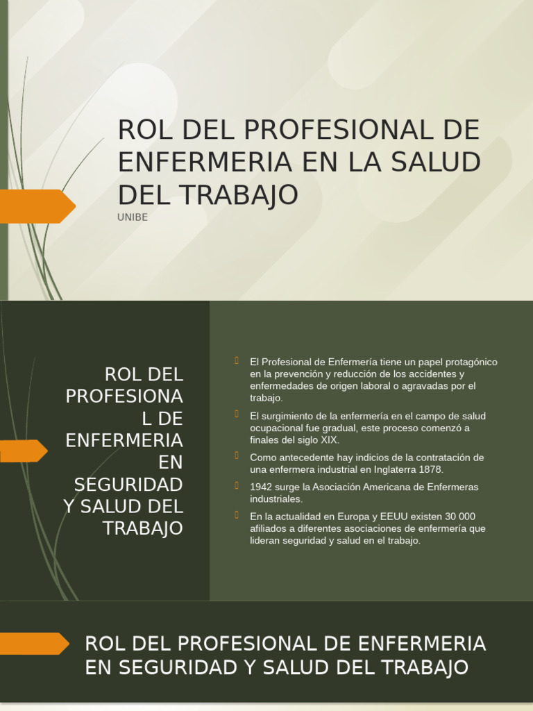 Rol Del Profesional de Enfermeria en La Salud | PDF | Enfermería ...