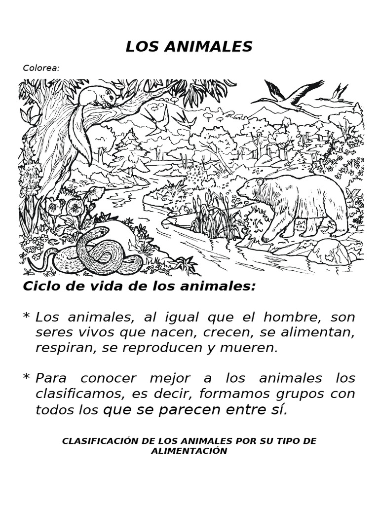 Los Animales y Su Clasificacion Para Segundo de Primaria | PDF ...
