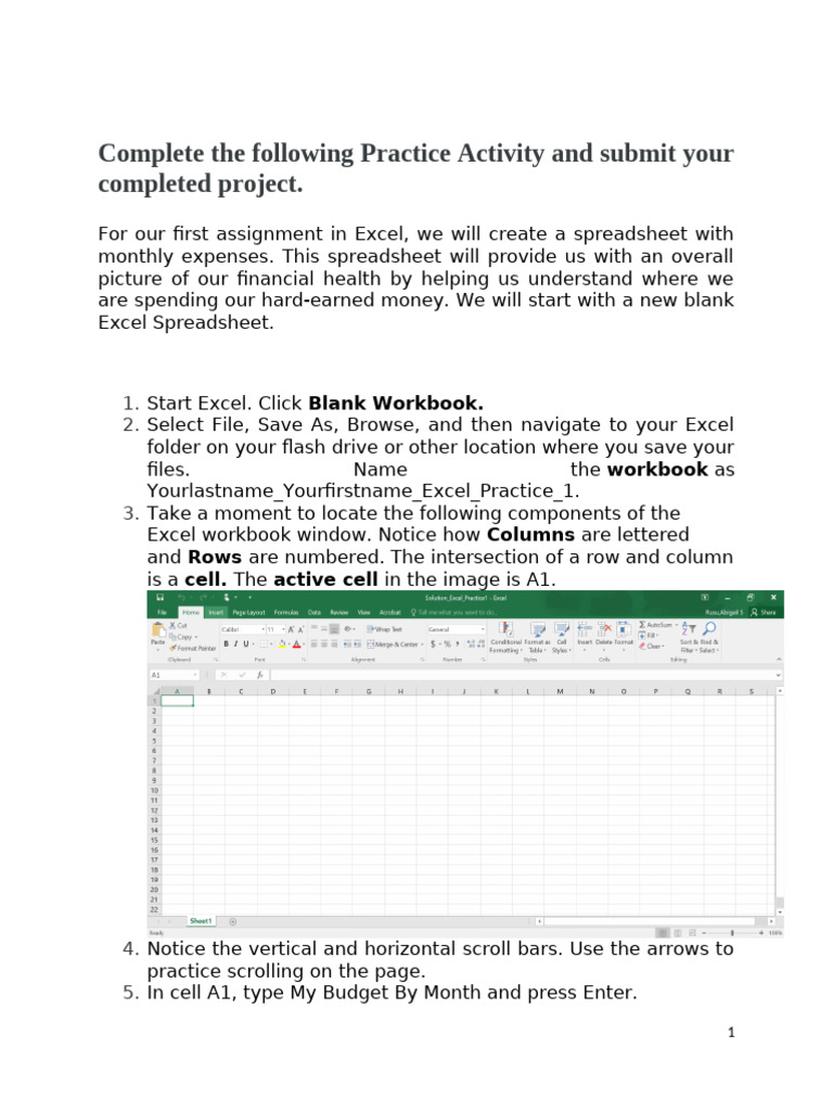 Practice Activity 1 | PDF | Microsoft Excel | Spreadsheet
