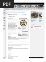 BFP Ranks Positions Insignias | PDF