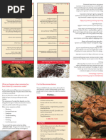 Awareness Safety Talk SNAKE HAZARDS | PDF | Snake | Venomous Snakes
