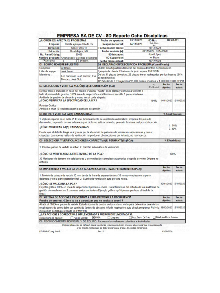 Ejemplo de Formato 8D | PDF