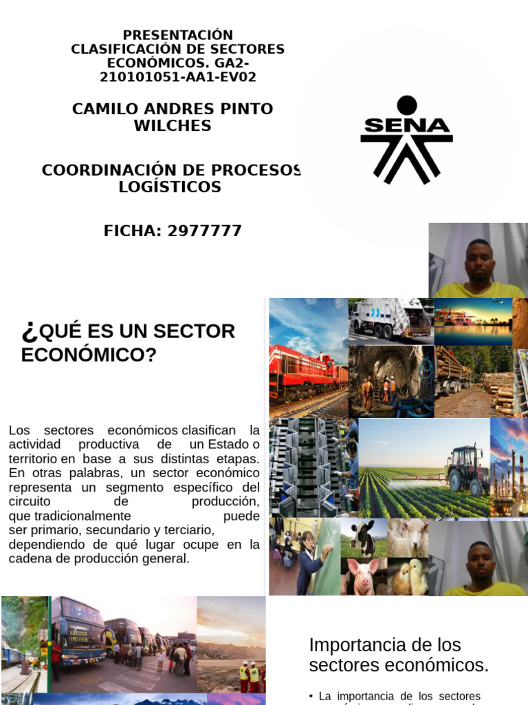 Clasificación de Sectores Económicos | PDF | Business | Economias
