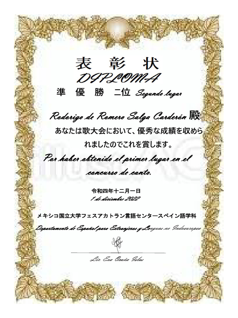 Rodorigo de Romero Salga Carderón | PDF