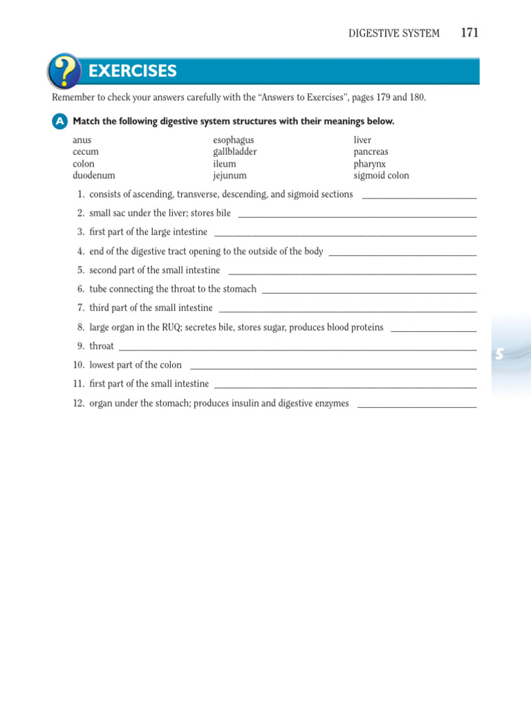 GI SYSTEM | PDF | Human Digestive System | Gastrointestinal Tract