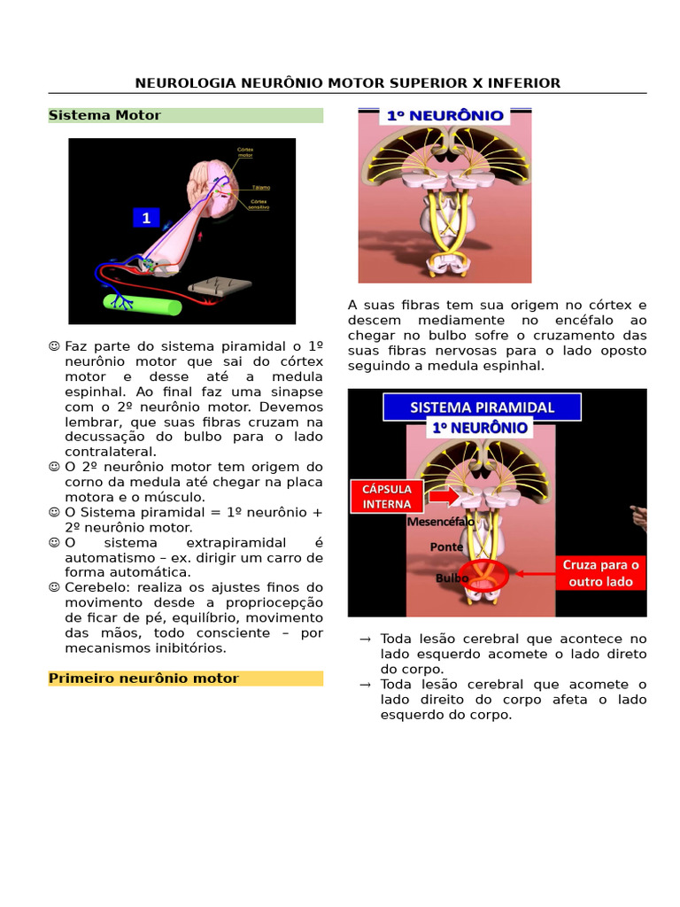 NEUROLOGIA NEURÔNIO MOTOR SUPERIOR X INFERIOR | PDF | Neurônio motor ... NEUROLOGIA NEURÔNIO MOTOR SUPERIOR X INFERIOR | PDF | Neurônio motor ...