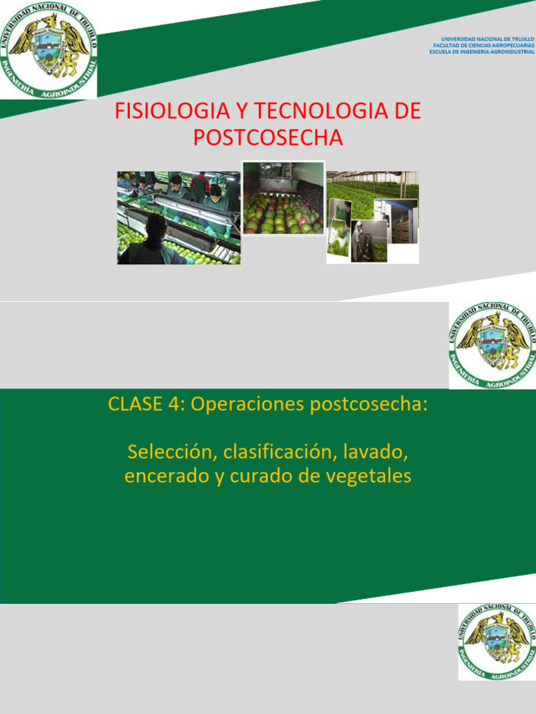 Clase 4 Operaciones Postcosecha | PDF | Fruta | Cloro