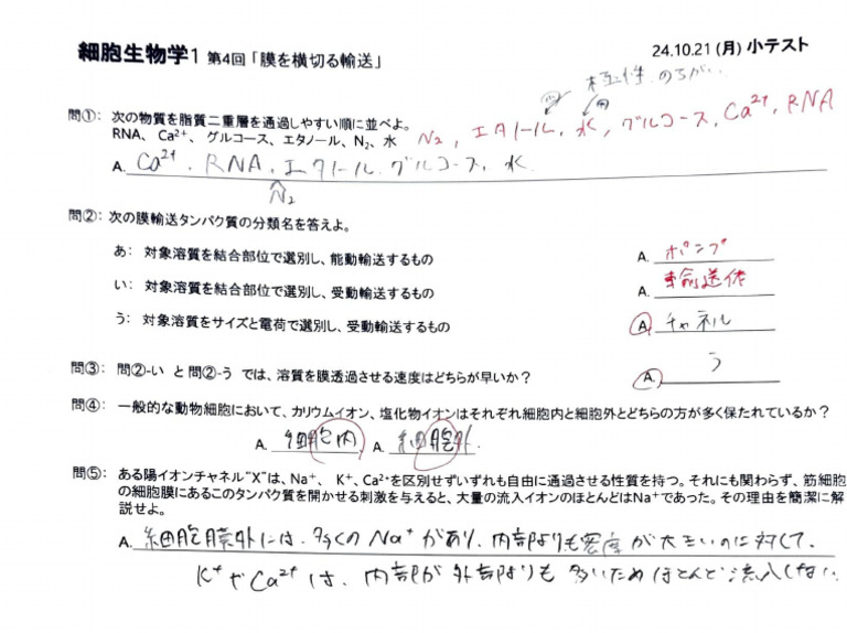 Adobe Scan 2024年10月21日 | PDF