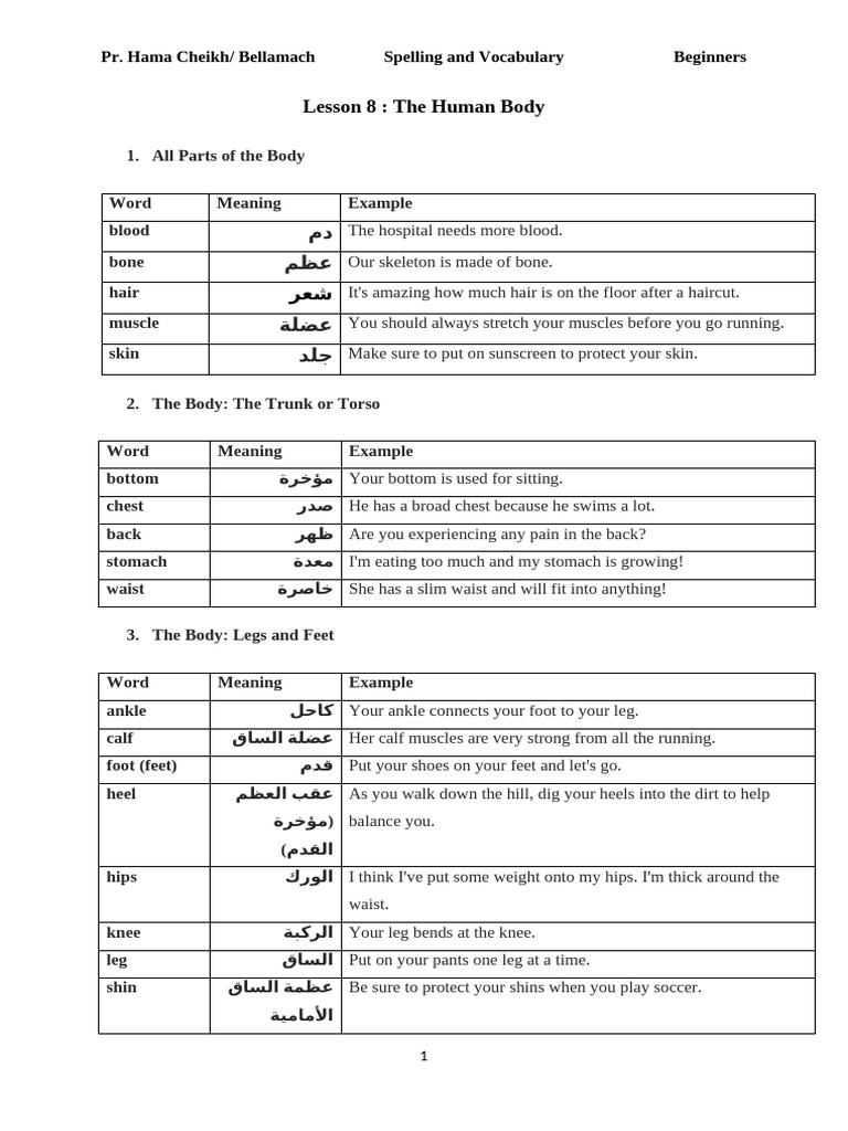 Lesson 8 Human Body | PDF | Hand | Foot