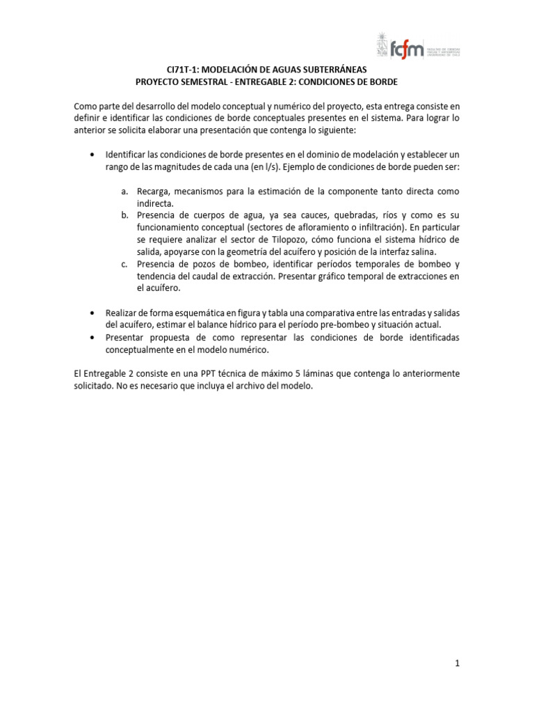 Enunciado Entrega 2 Condiciones de Borde | PDF