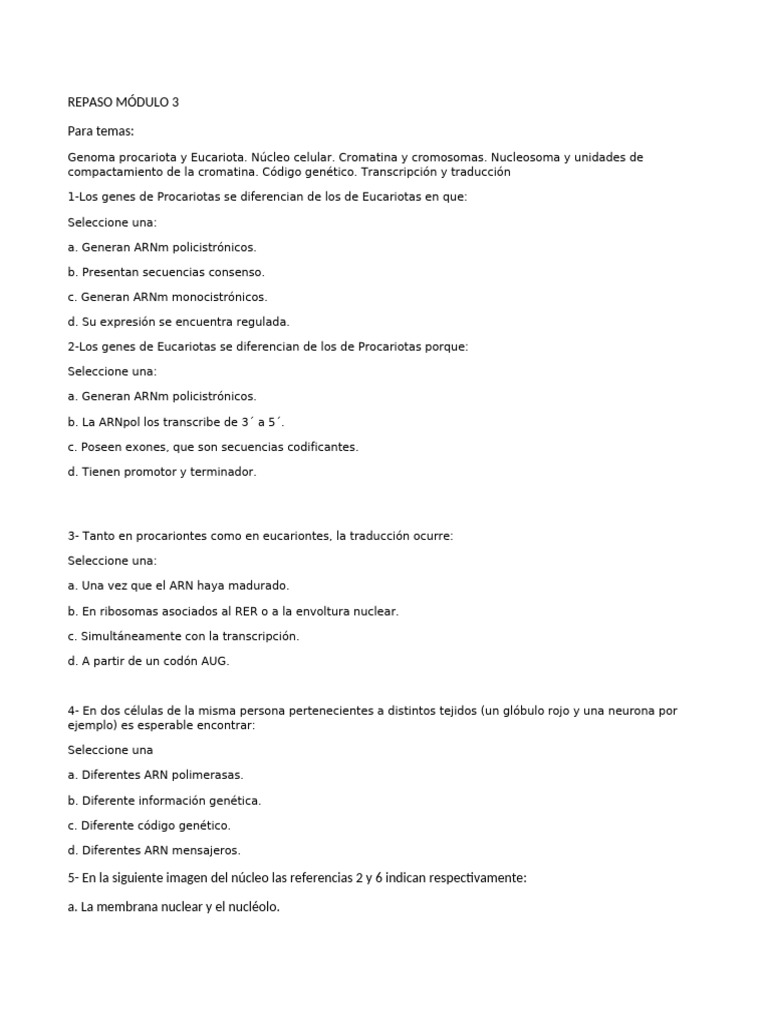 REPASO MÓDULO 3 Nucleo Transcripcion Traduccion | PDF | Traducción (biología) | Nucleo celular