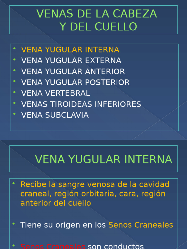 Venas y Linfáticos de Cabeza y Cuello | PDF