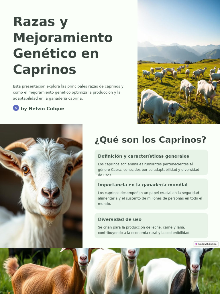 Razas y Mejoramiento Genetico en Caprinos | PDF | Cabra | Carne