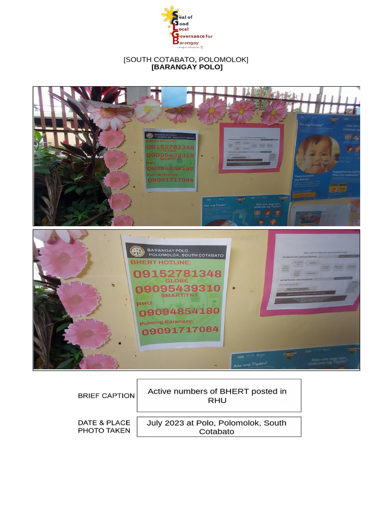 SGLGB TEMPLATE - Photo Documentation FORMAT 1 | PDF