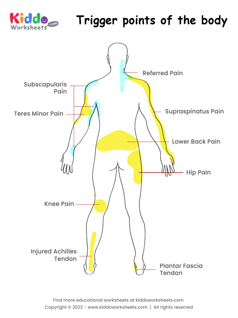 Trigger Points of The Body Worksheet | PDF