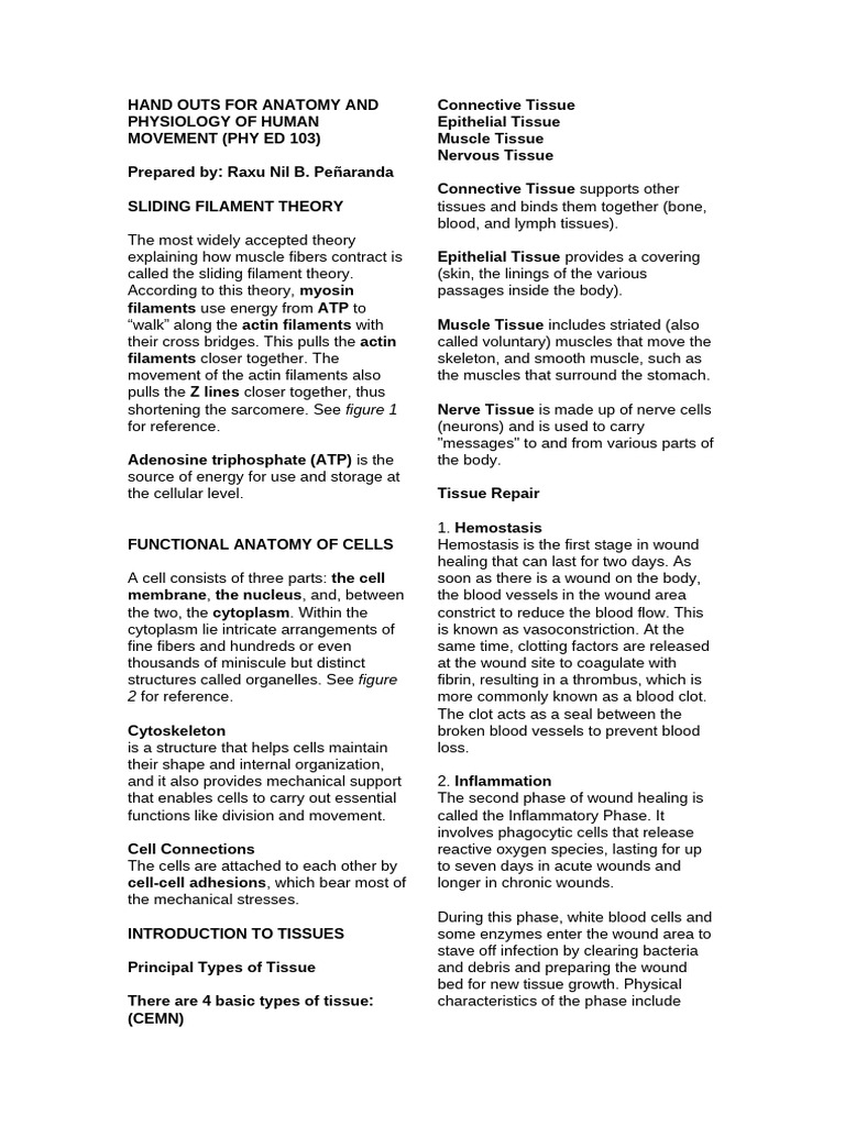 Phy Ed 103 Hand Out 1 | PDF | Wound Healing | Healing