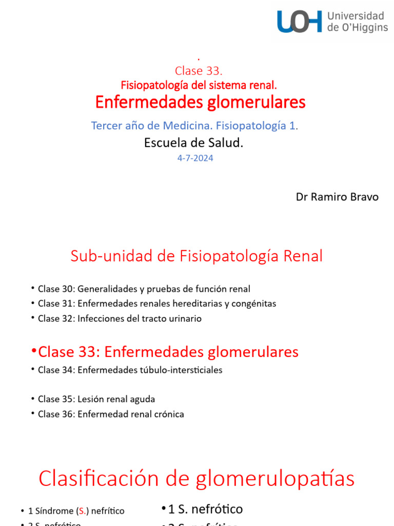 FP241 33 Glomerulo | PDF | Especialidades Medicas | Enfermedades y ...