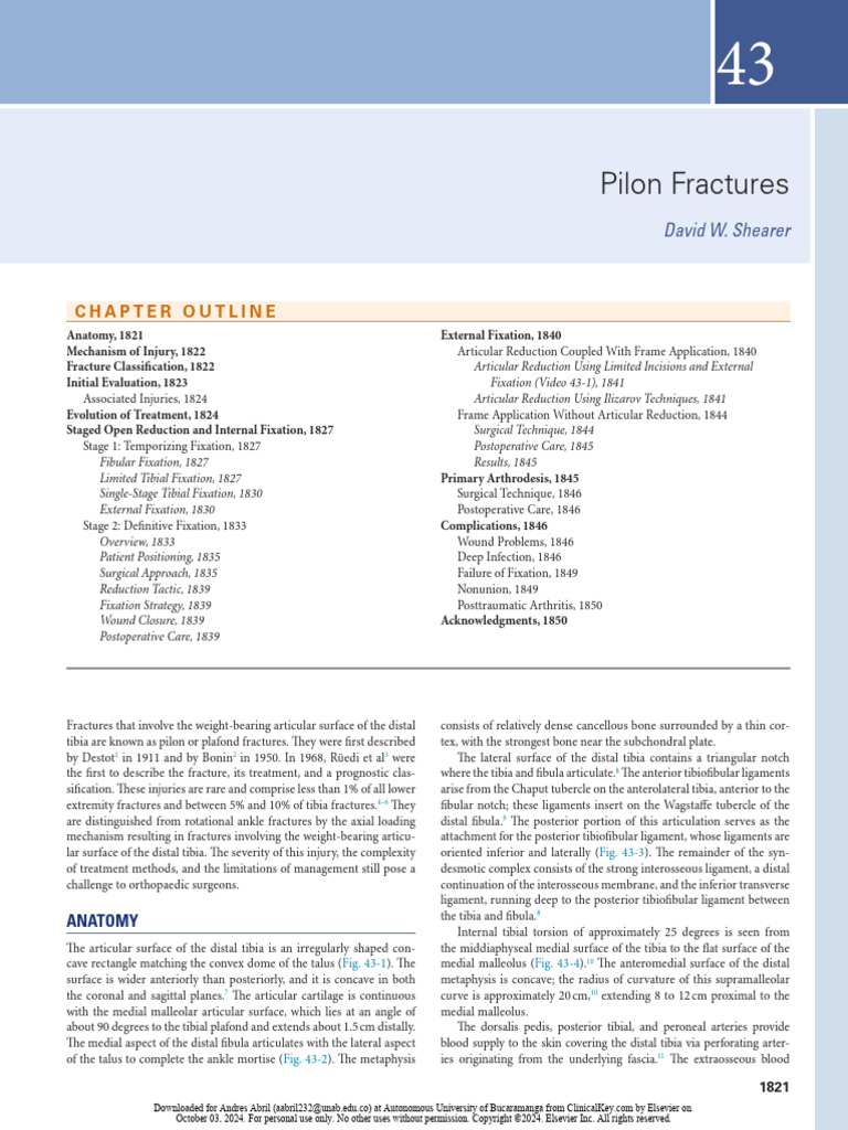Fracturas de pilon tibial | PDF | Musculoskeletal System | Lower Limb Anatomy