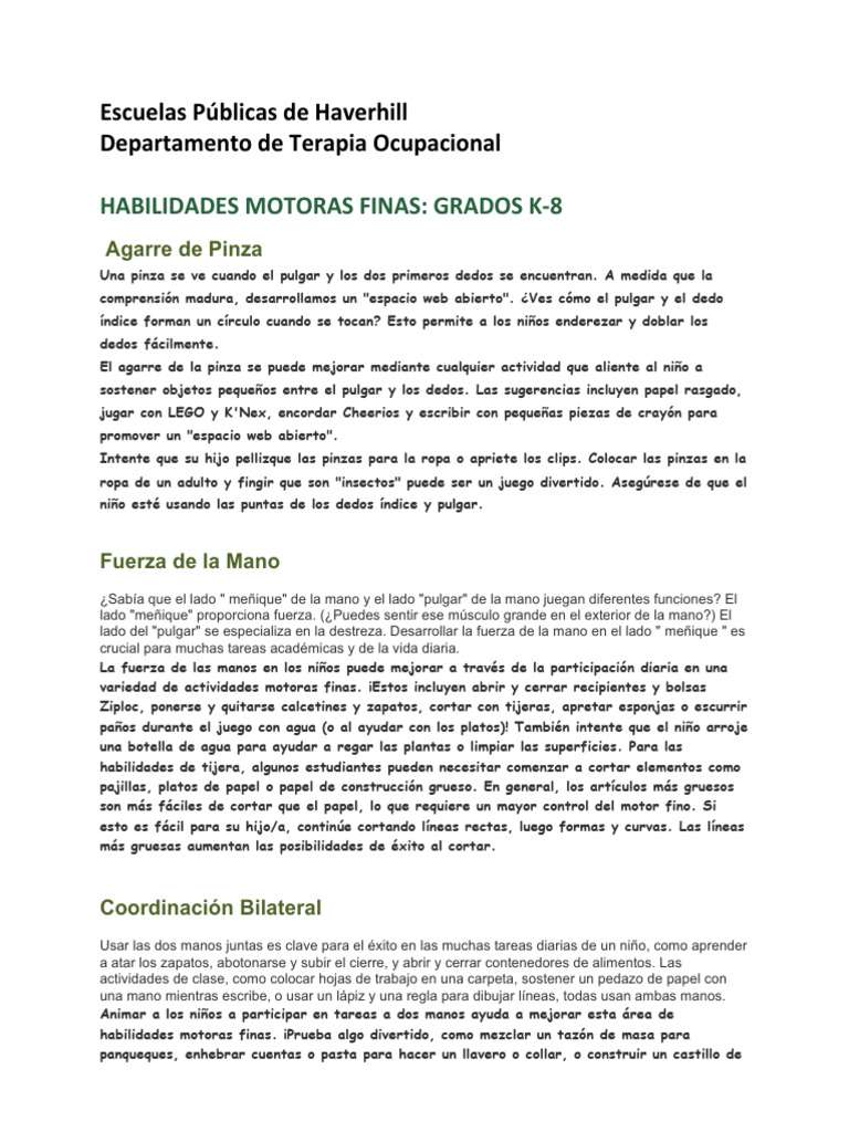 Habilidades Motoras Finas Grados K 8 Fine Motor Skills Spanish | PDF ...
