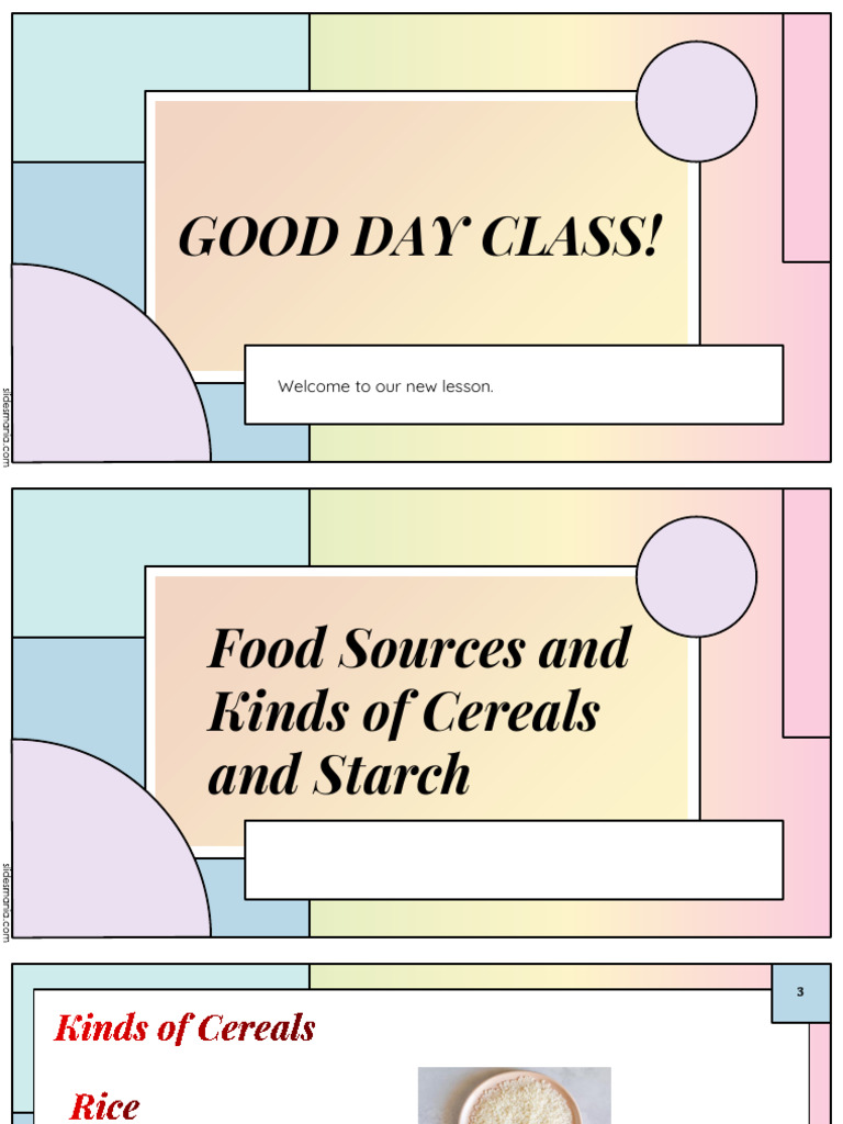 Types of Cereals and Starch Dishes | PDF | Pasta | Maize