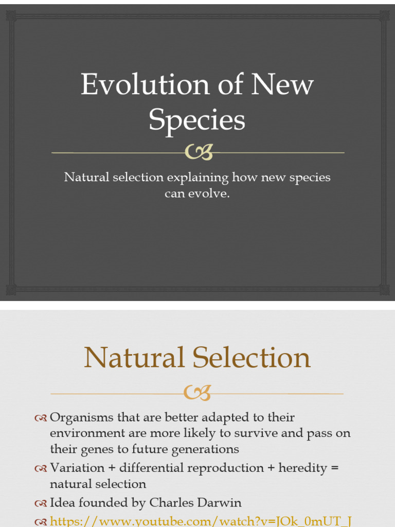 4 Adaptations Leading To Evolution of New Species GC | PDF | Natural ...