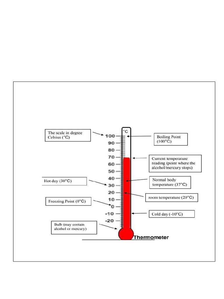 Temperature Measurement Worksheet | PDF | Thermometer | Celsius