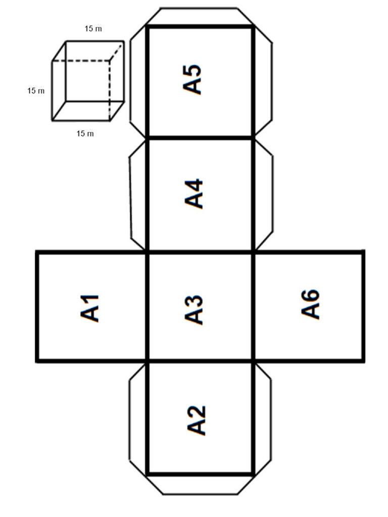 Red Paralelepipedos y Cubos | PDF