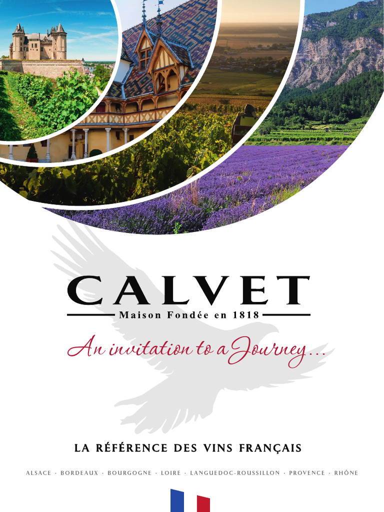 Discover French Wines with Calvet | PDF | Winemaking | Fermentation In ...