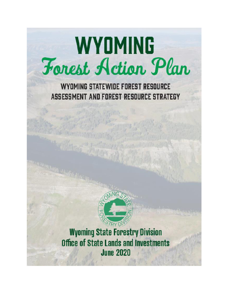 Wyoming 2020 Forest Action Plan | PDF | Riparian Zone | Forests