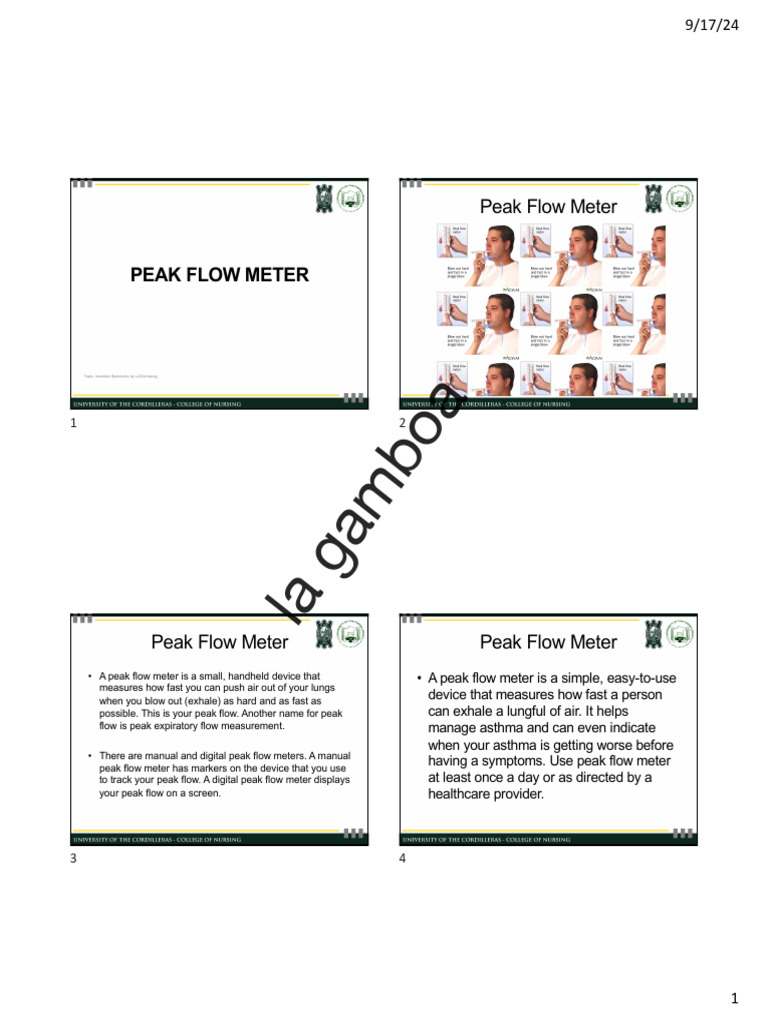 PEAK-FLOW-METER | PDF | Asthma | Exhalation