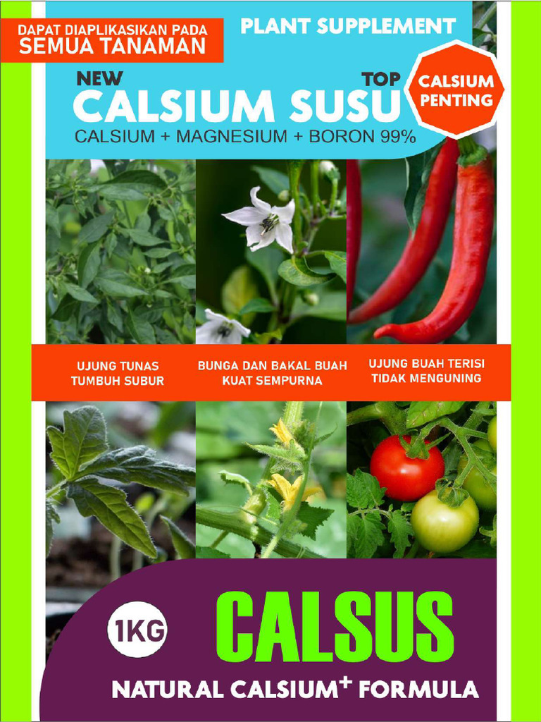 Calsus 1 | PDF