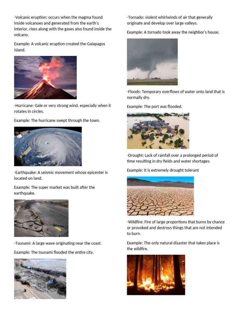 Natural Disasters Explained: Types & Examples | PDF | Art | Science ...